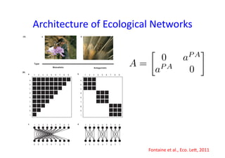 Emergence of Nested Architecture in Mutualistic Ecological Communities ...