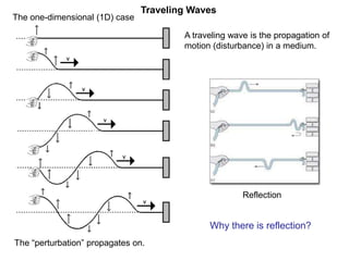 Traveling Wave propagation with time 2024 | PPT