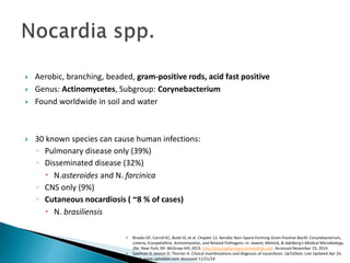 Florentina Eller Patient Case Cutaneous Nocardia | PPTX