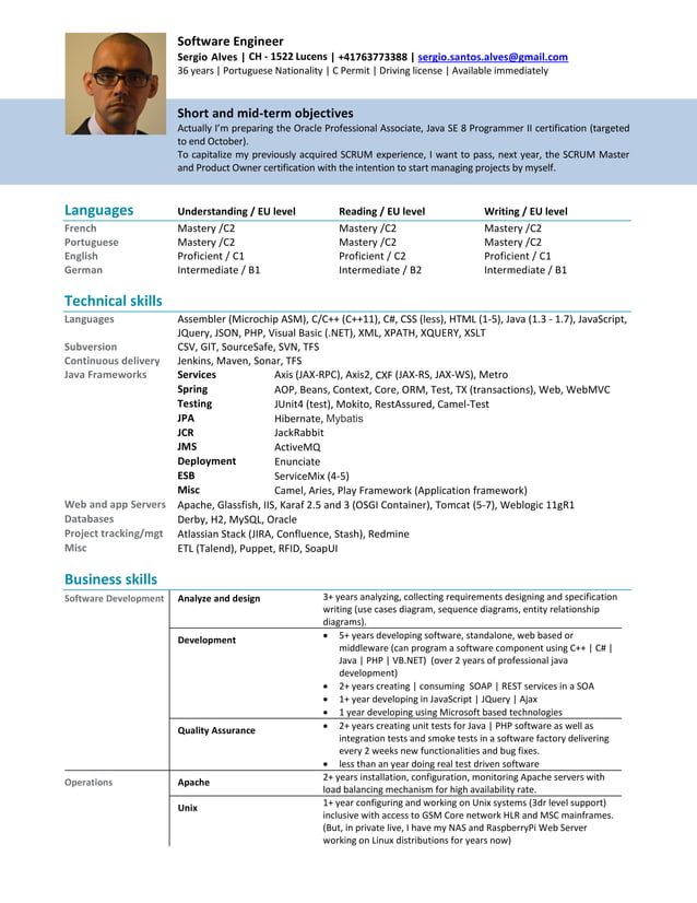 cv-sergio-alves-en | PDF