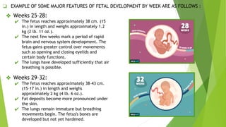 ECed2-Child Development and Prenatal Development | PDF