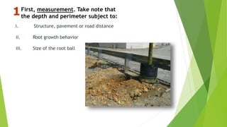 (6) NYLEX ROOTEX (JAN15) | PPTX