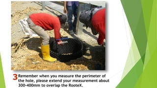 (6) NYLEX ROOTEX (JAN15) | PPTX