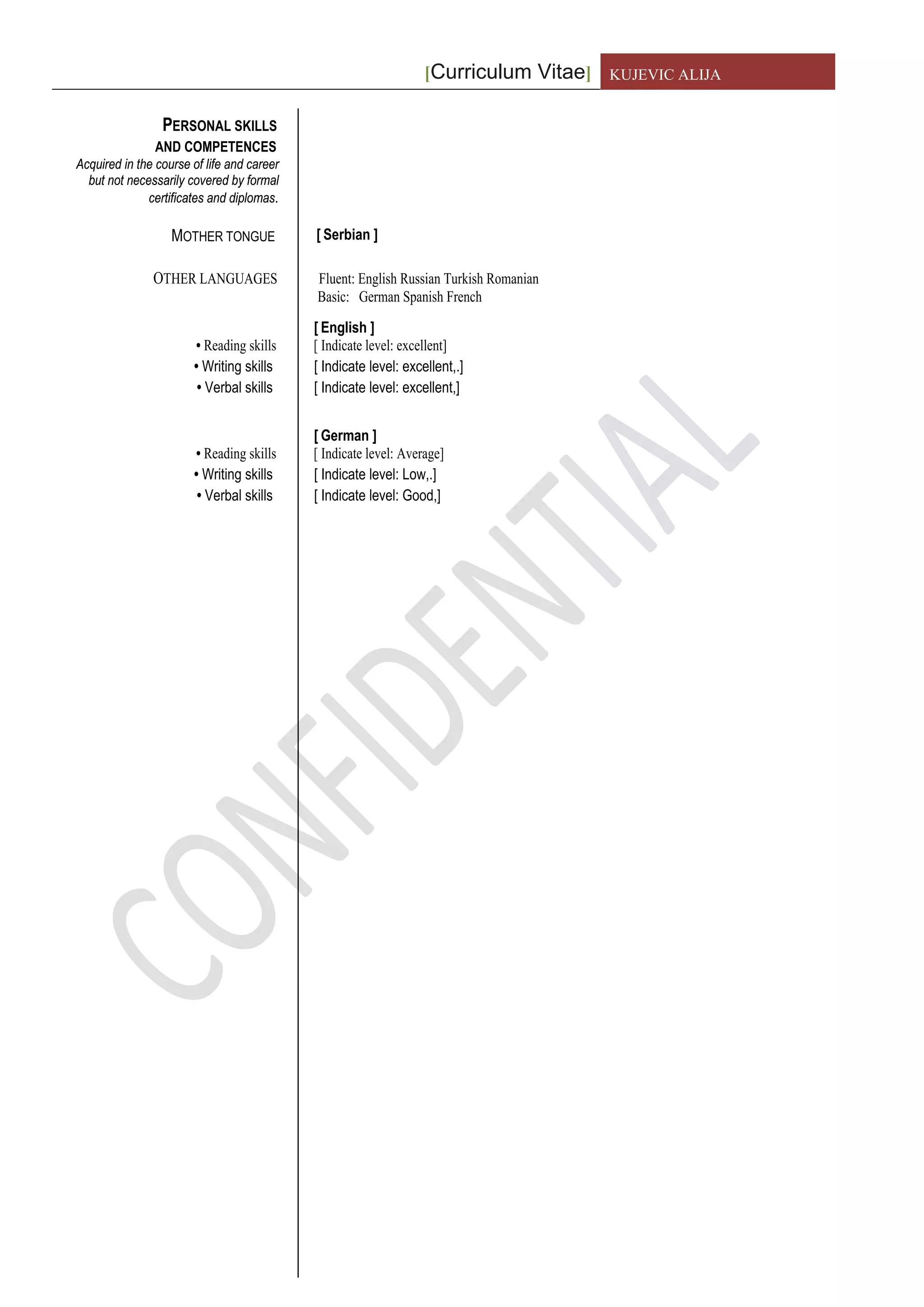 CV ENGLESKI | PDF