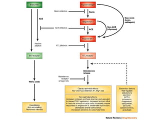 Extracellular fluid homeostasis | PPT