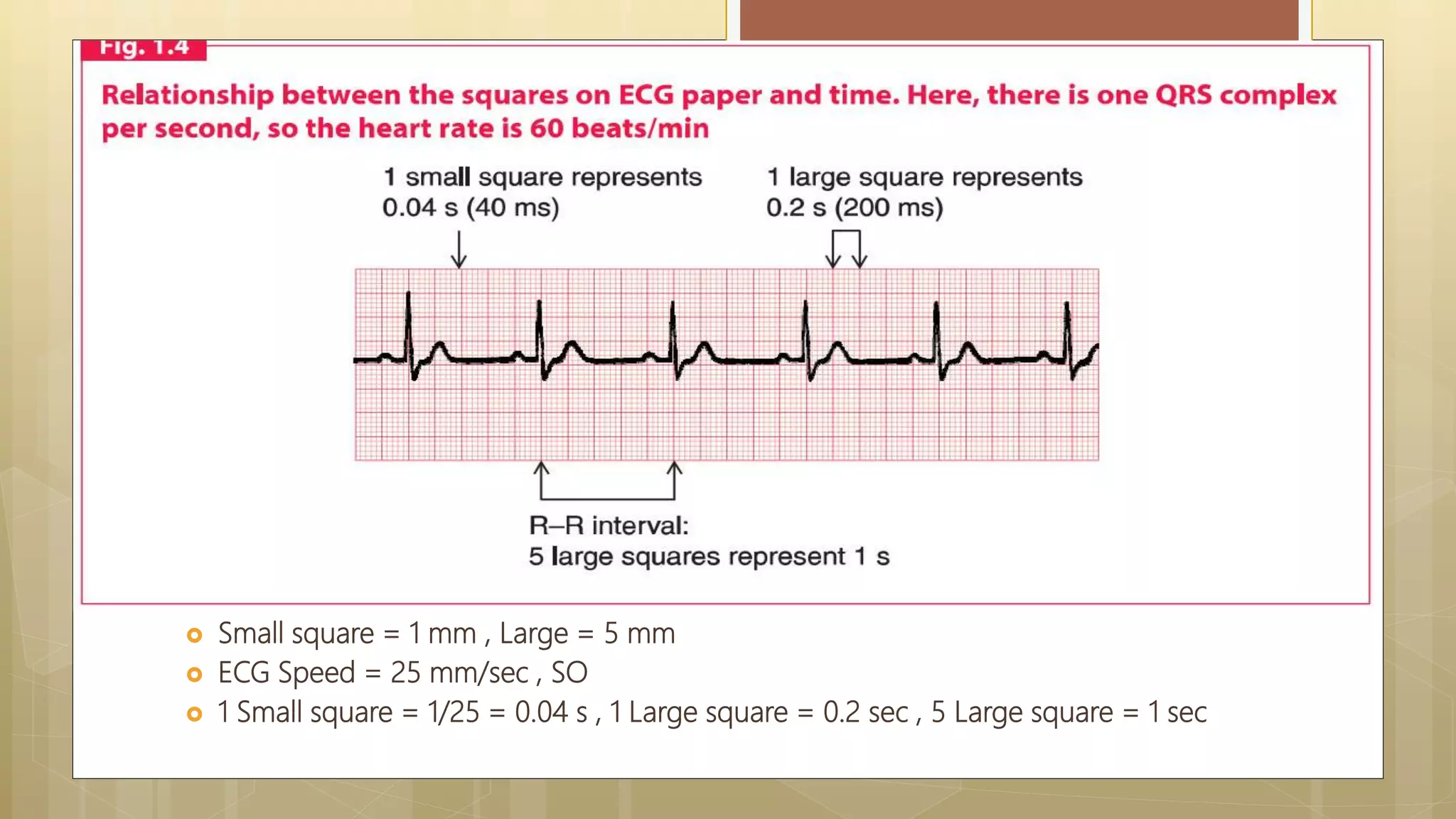 ECG - 1 Toward the Basics | PPTX