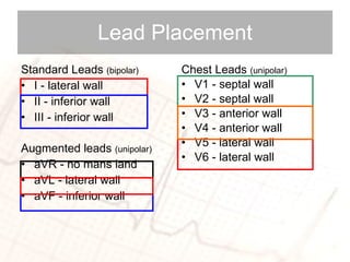 Lead Ekg Basics