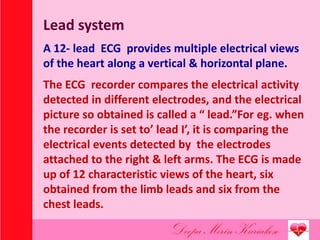 ECG | PPSX