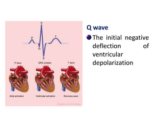 Ecg | PPT