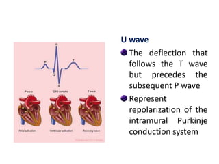 Ecg | PPT