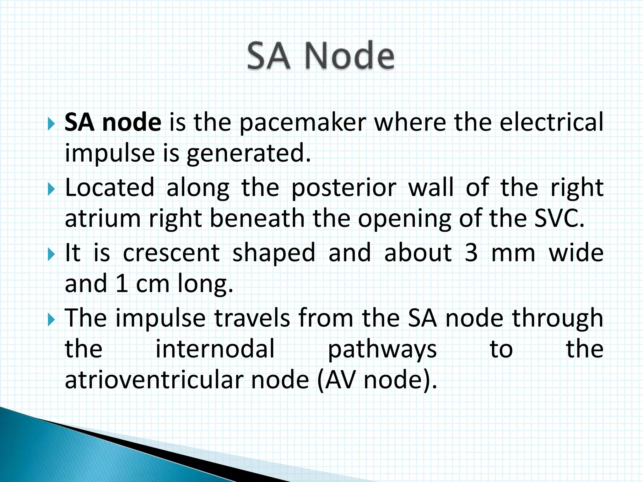 ECG: Indication and Interpretation | PPTX