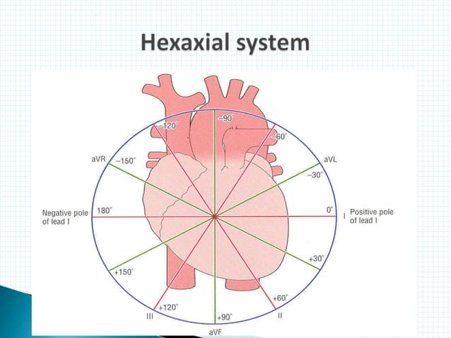 ECG: Indication and Interpretation | PPTX