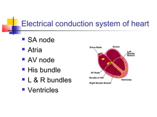 Ecg | PPT