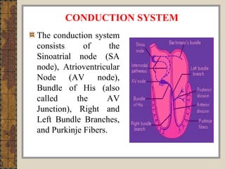Ecg for Nurses... | PPT
