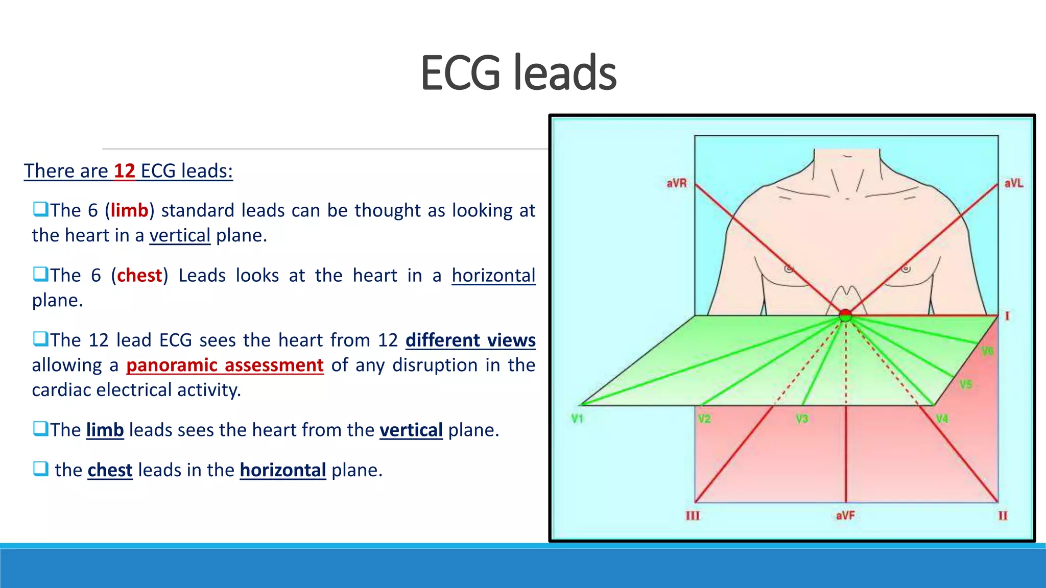 ECG, step by step approach (Updated) | PPTX