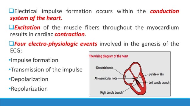 ECG, step by step approach (Updated) | PPTX
