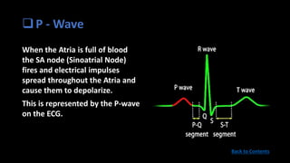 ECG (Electrocardiogram) | PPTX
