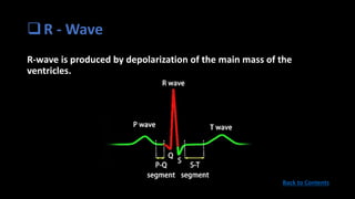 ECG (Electrocardiogram) | PPTX