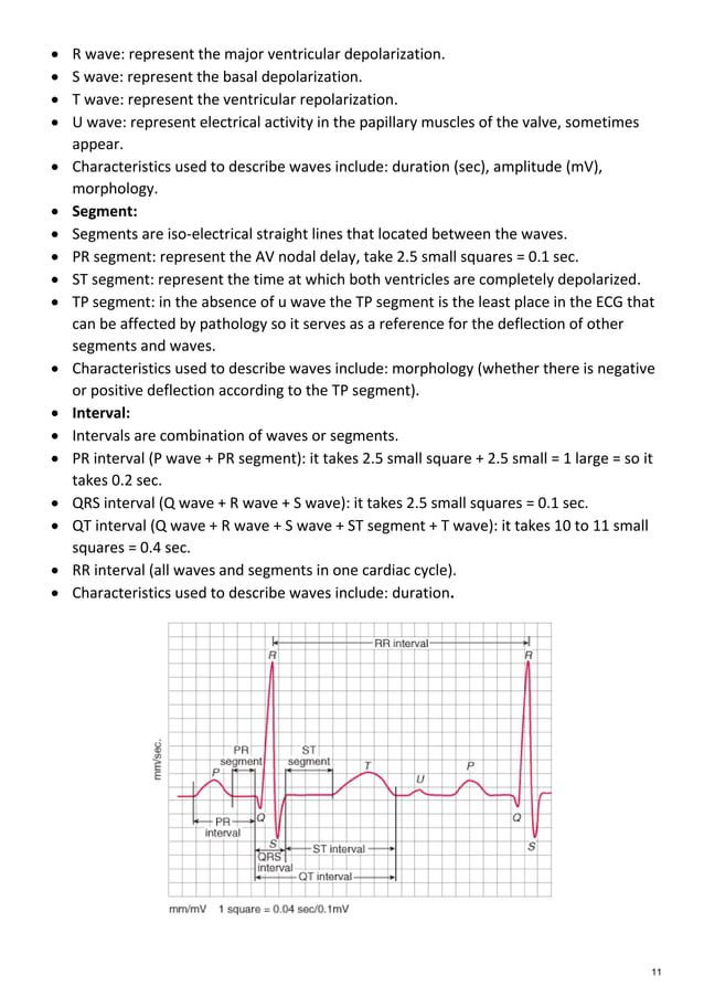 Ecg | PDF