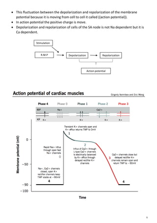 Ecg | PDF