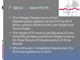 ECG | PPTX