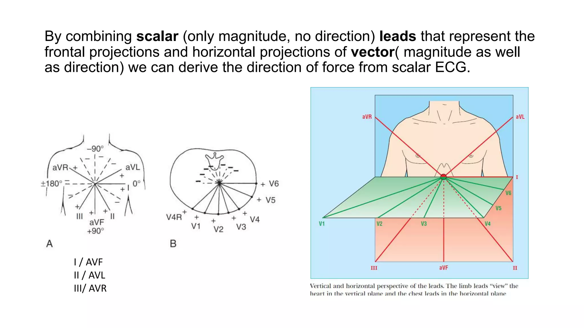 Ecg in children | PPTX