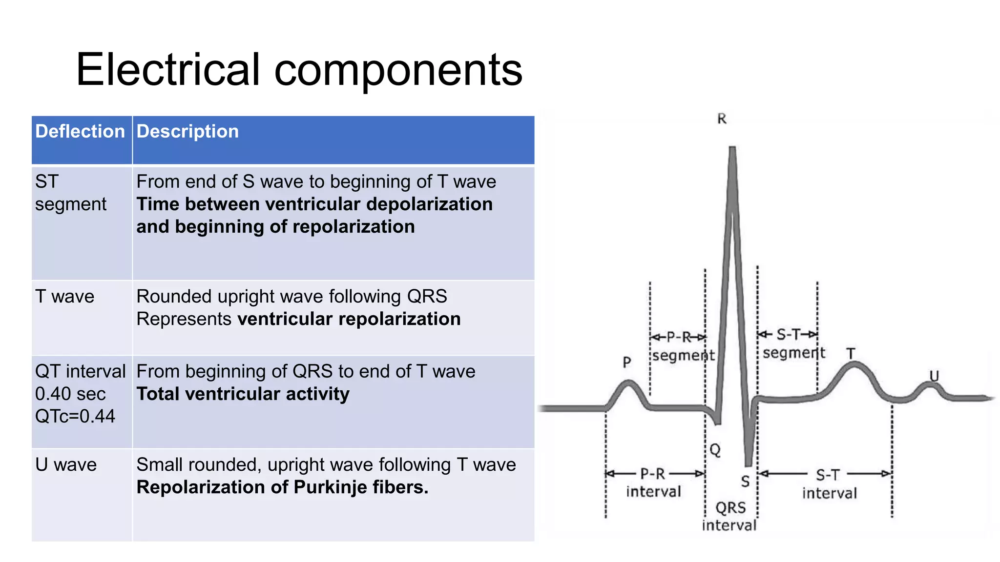 Ecg in children | PPTX