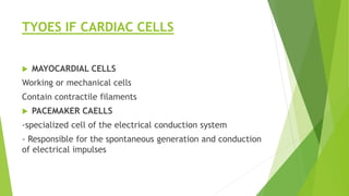 ECG | PPT