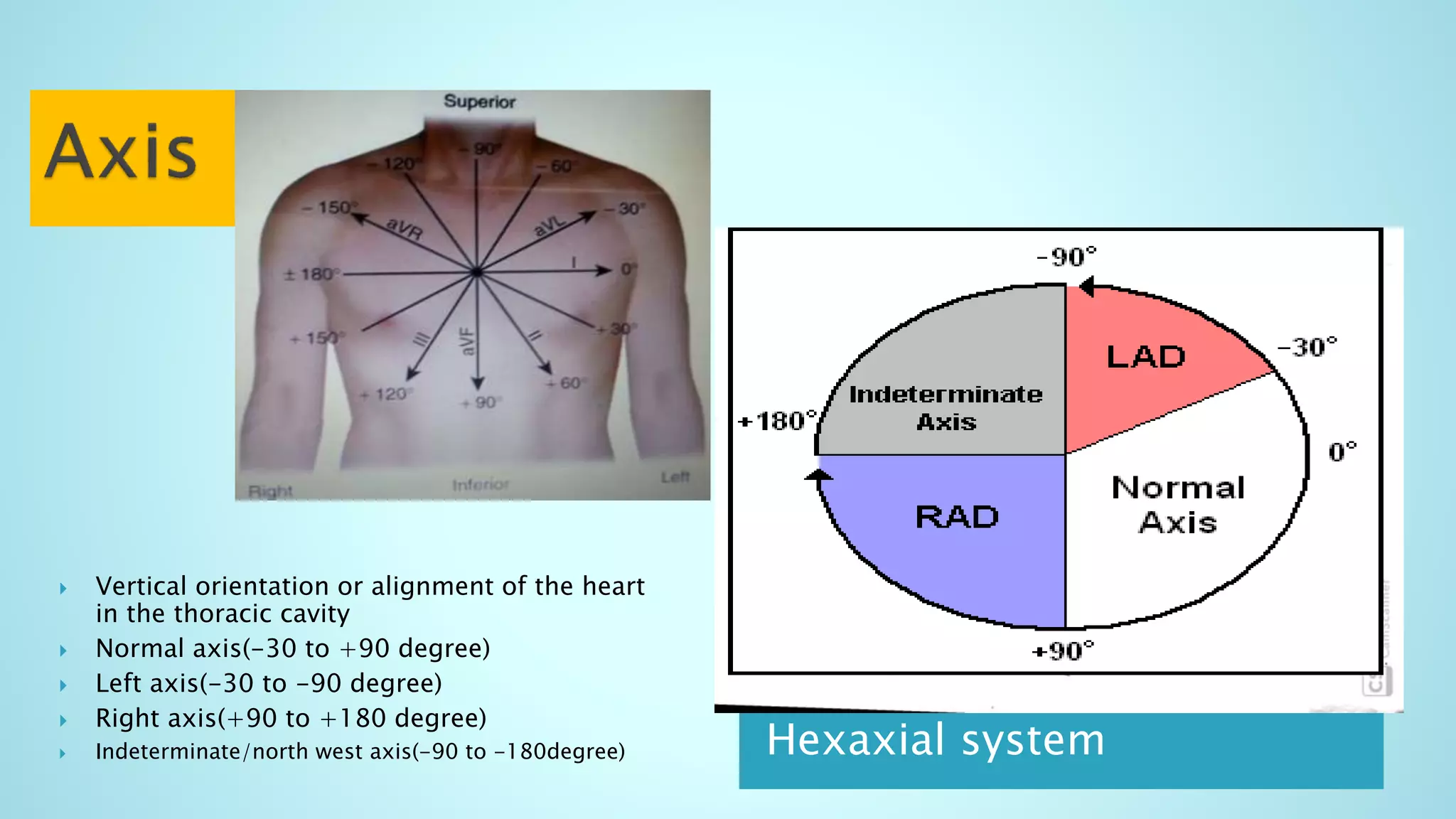 Ecg for beginners | PPTX