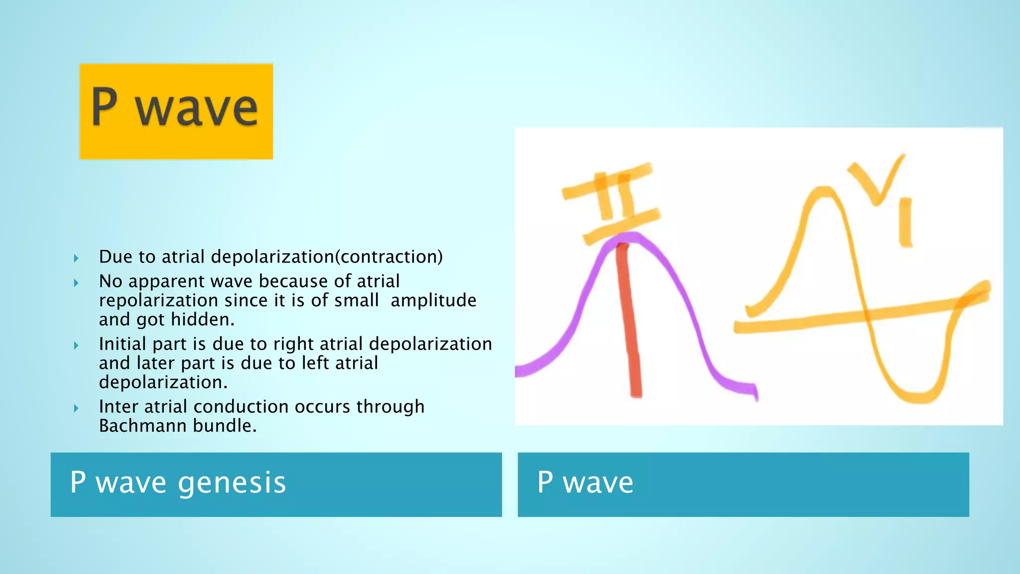 Ecg for beginners | PPTX