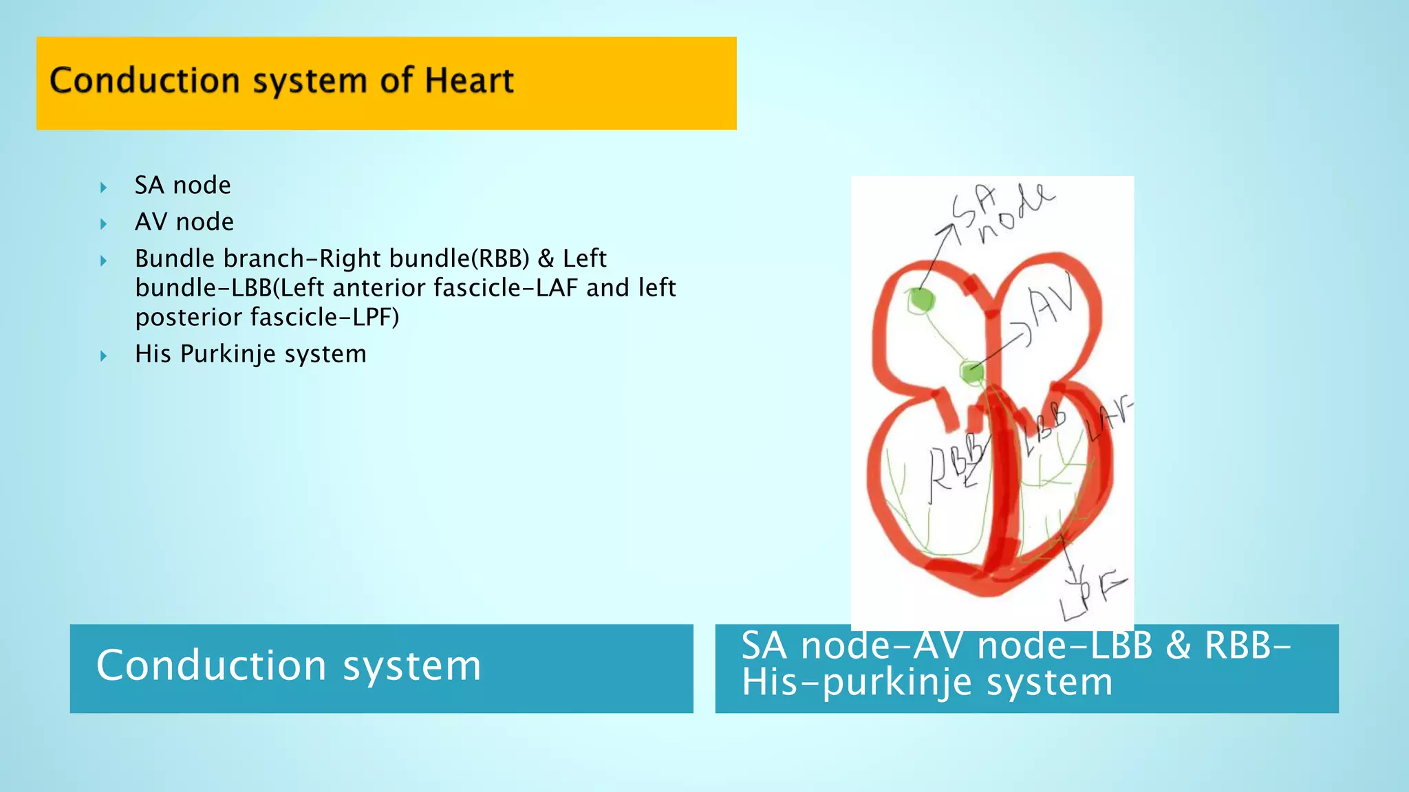 Ecg for beginners | PPTX | Heart and Cardiovascular Diseases | Diseases ...