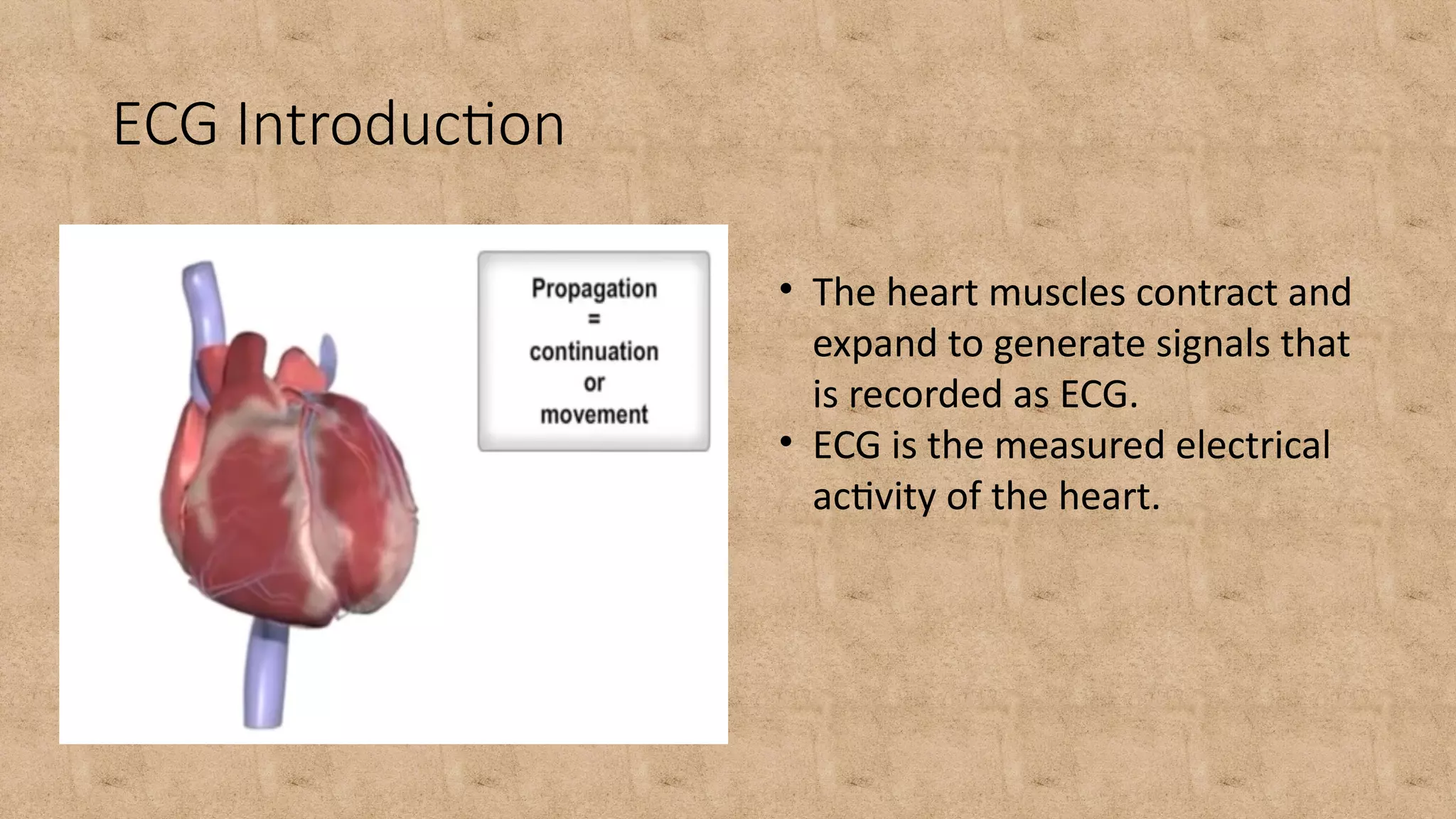 Ecg R Peak Detection Pdf