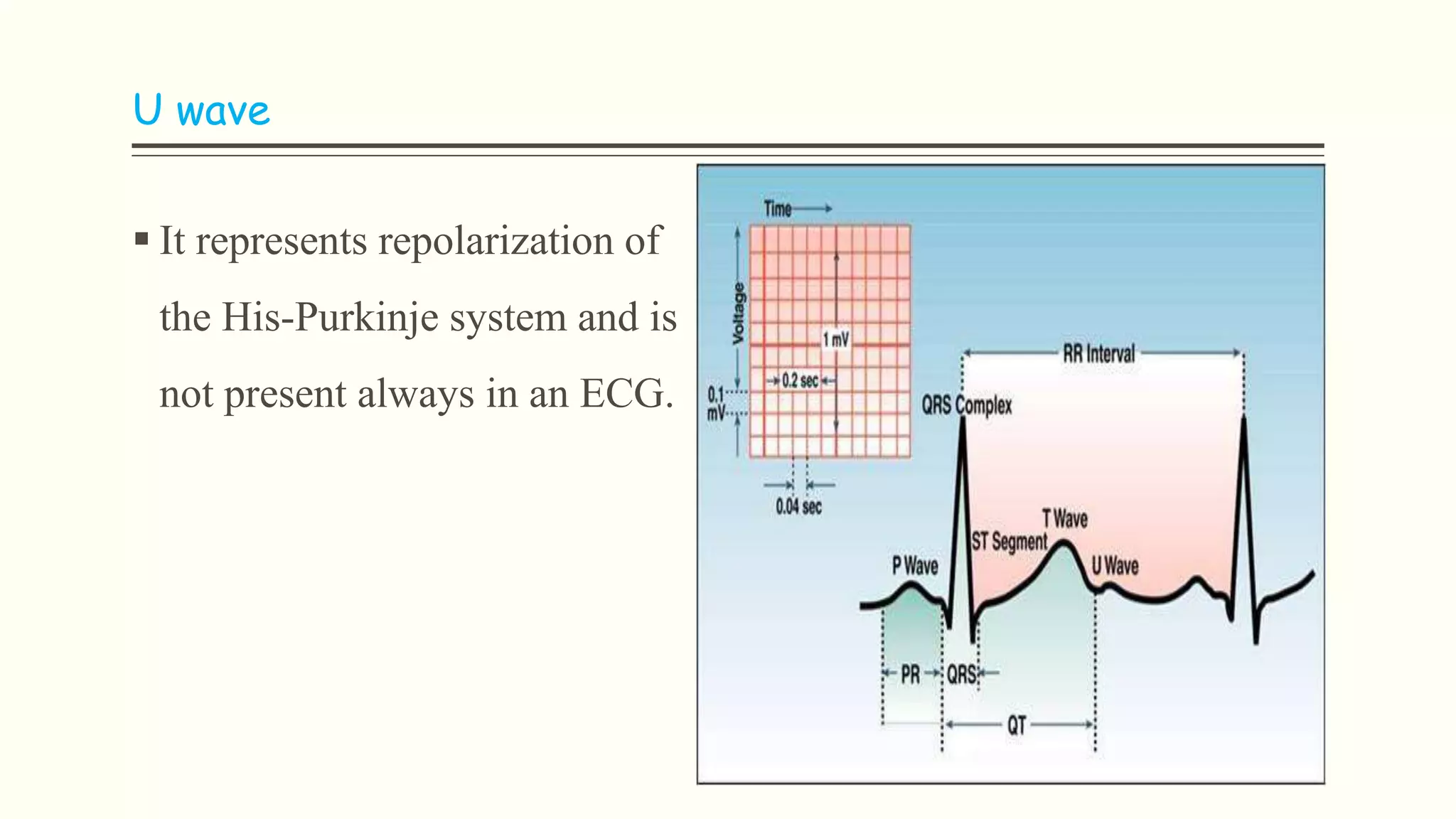 Ecg | PPTX