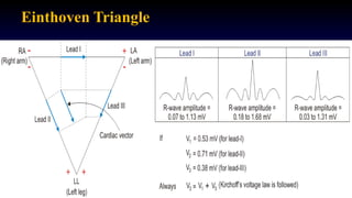 ECG-Electrocardiography | PPTX