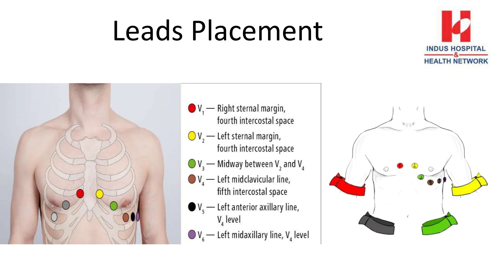 Basics of ECG.pptx