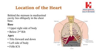 Basics of ECG.pptx