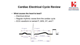 Basics of ECG.pptx