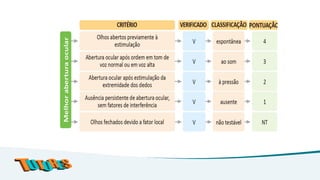 ECG-escala de coma de glasgow | PDF