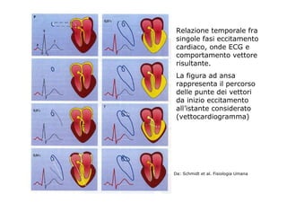 ECG.pdf