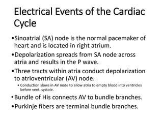 ECG complete lecture presentation, ECG waveform and leads placement | PPTX