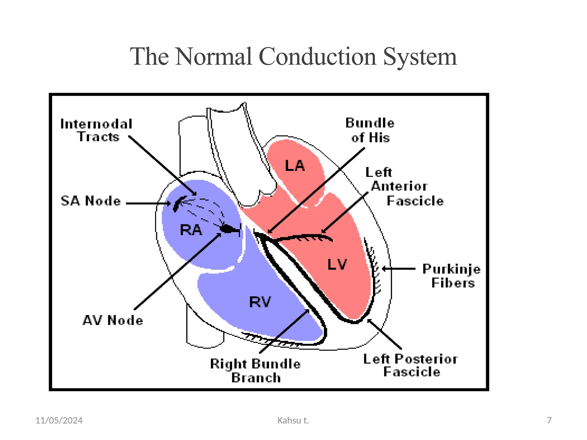 Basic Electrocardiography (ECG) interpretation | PPTX | Heart and ...