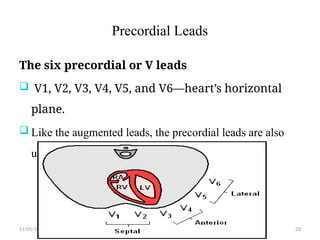 Basic Electrocardiography (ECG) interpretation | PPTX
