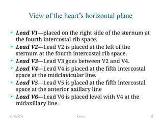 Basic Electrocardiography (ECG) interpretation | PPTX