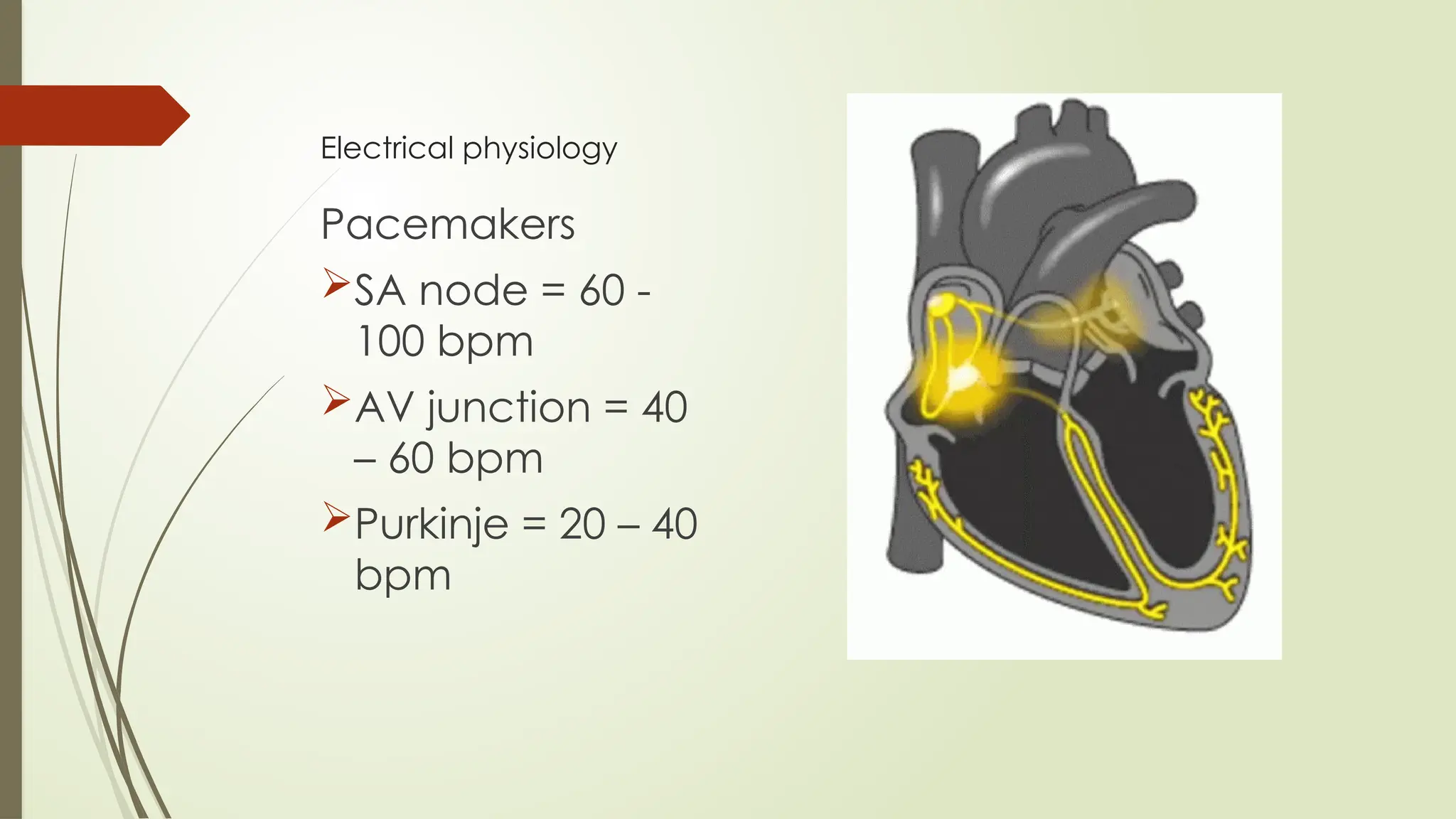 ECG reading and interpretation for beginners.pptx