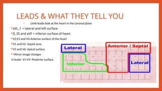 ECG.pptx electrocardiogram cardiovascular system | PPTX