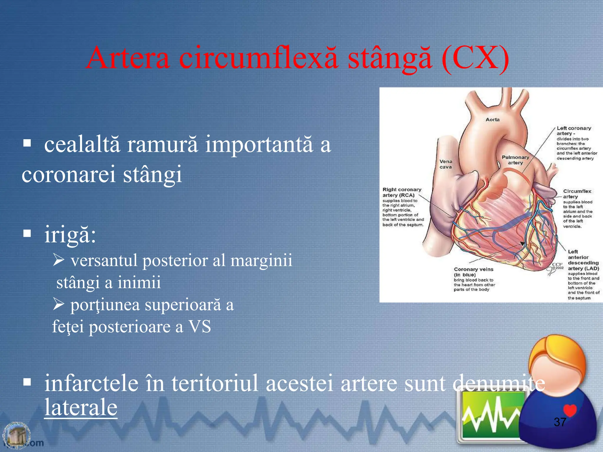 ECG-5-2016-2017-Ischemie-leziune-infacrct.ppt