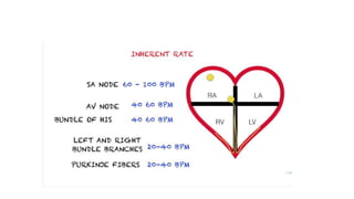 ECG-Interpretation-1.pptx