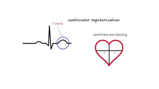 ECG-Interpretation-1.pptx