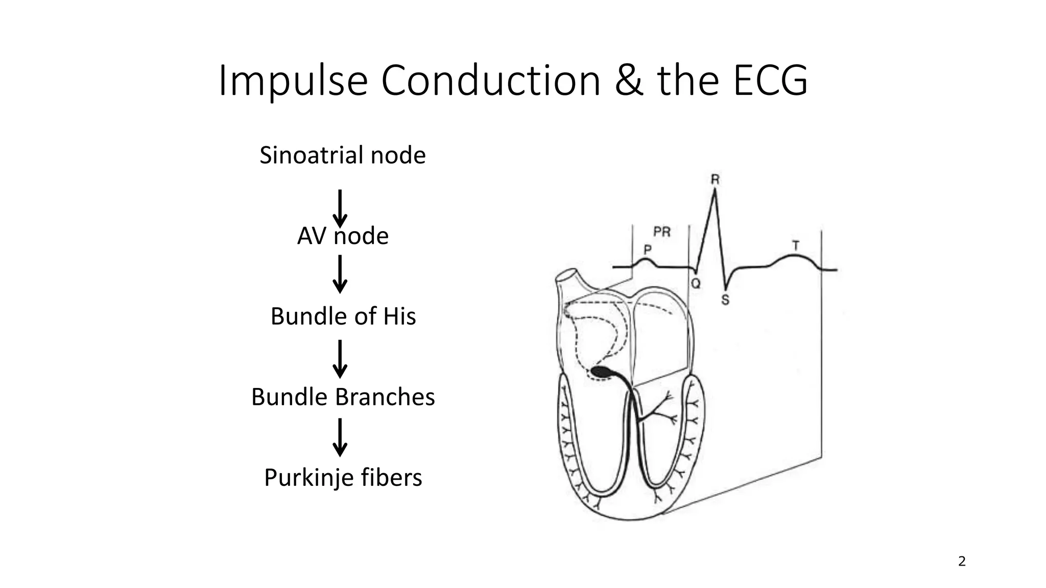 ECG-Interpretation-ppt-for-student.pptx