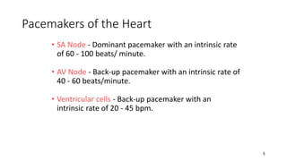 ECG-Interpretation-ppt-for-student.pptx